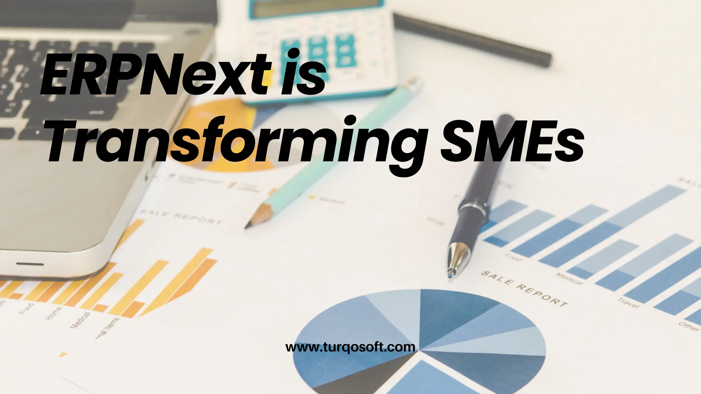 How ERPNext is Transforming SMEs | Turqosoft How ERPNext is Transforming SMEs | Turqosoft