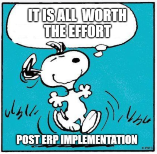 ERP Memes - Because Work should be fun too ;) - Turqosoft