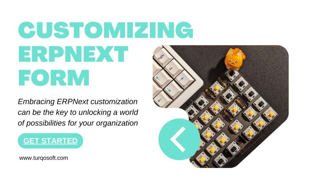 Customizing ERPNext: Tailoring Solutions for Unique Business Needs - Turqosoft