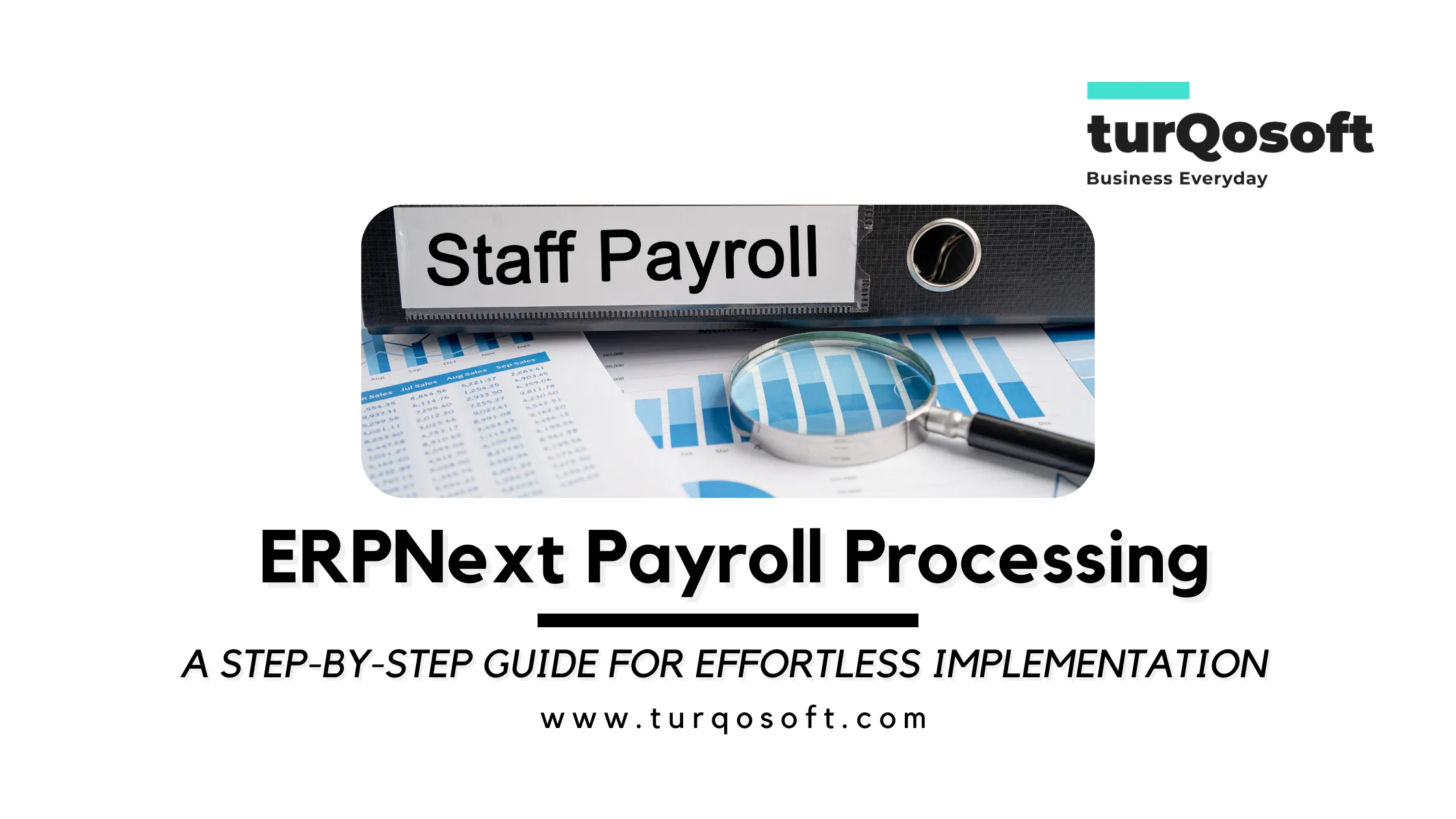 ERPNext Payroll Processing: A Step-by-Step Guide for Effortless Implementation - Turqosoft