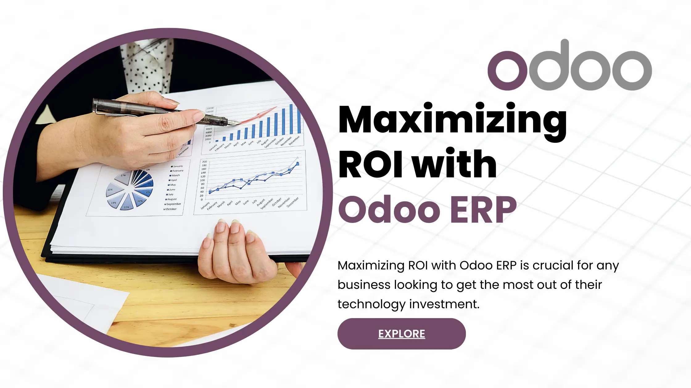 Maximizing ROI with Odoo ERP - Turqosoft
